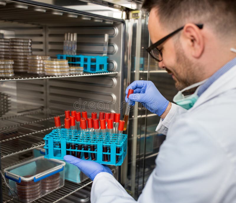 Biologists Taking Out Samples from Incubator Stock Photo - Image of ...