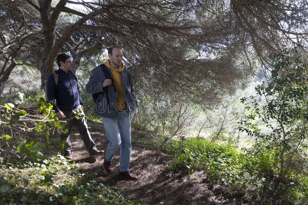 Biologists Walking in Mediterranean Forest Doing Fieldwork Stock Photo ...
