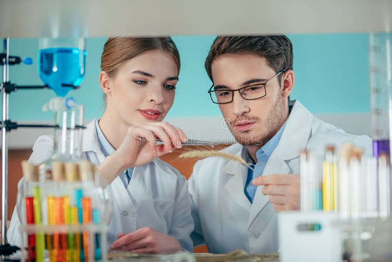 Biologists Working in Laboratory Stock Image - Image of researchers ...