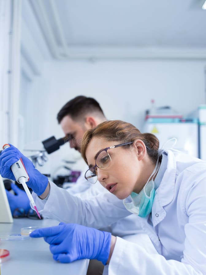 Biologists Working on Samples in Laboratory Stock Image - Image of ...