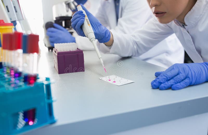 Biologists Working on Samples in Laboratory Stock Photo - Image of ...