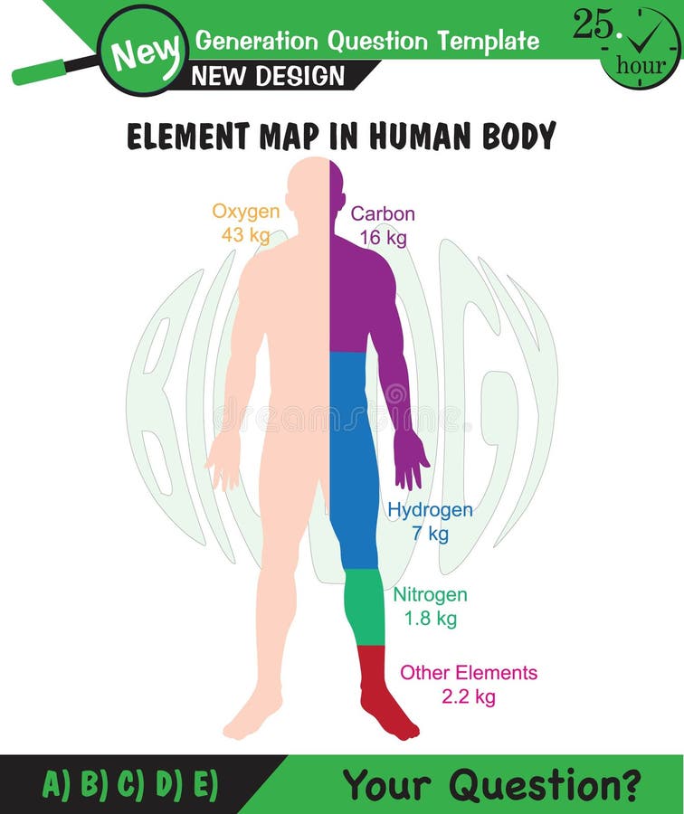 Living Things Diagram Stock Illustrations – 85 Living Things Diagram ...