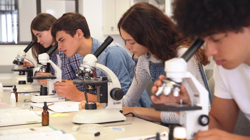 Biology Class at High School Lab Stock Video - Video of concentration ...