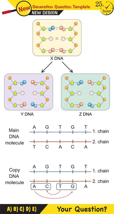 Biology, DNA Helix, DNA Replication Stock Illustration - Illustration ...