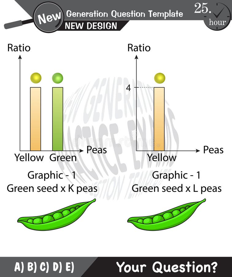 Biology, Heredity Combination, Mendelian Genetics, Next Generation ...