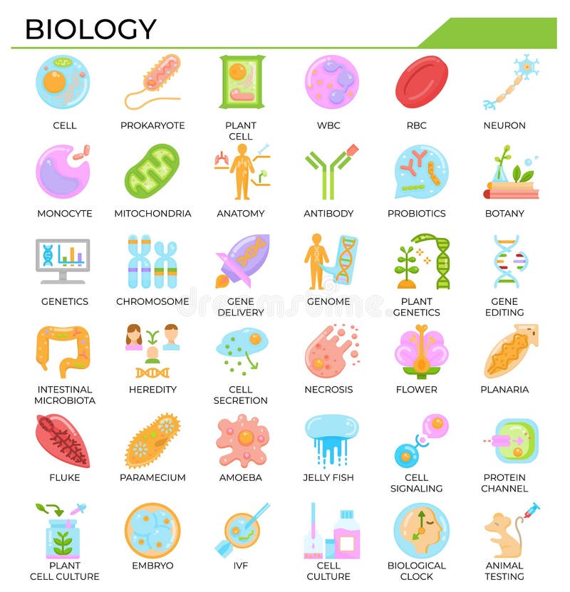 Biology and Science Icon Set Stock Vector - Illustration of antibody ... Biology and Science Icon Set Stock Vector - Illustration of antibody ...