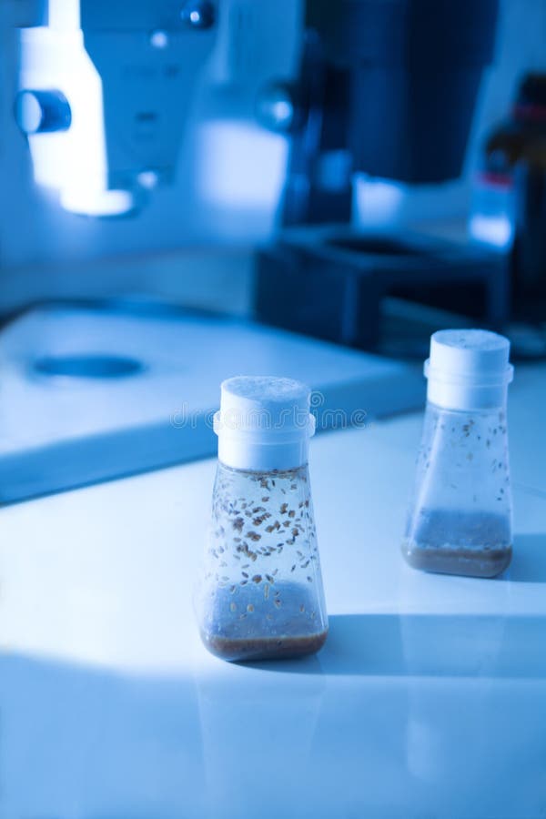 Biology Lab Research, Concept Stock Photo - Image of discovery, health ...