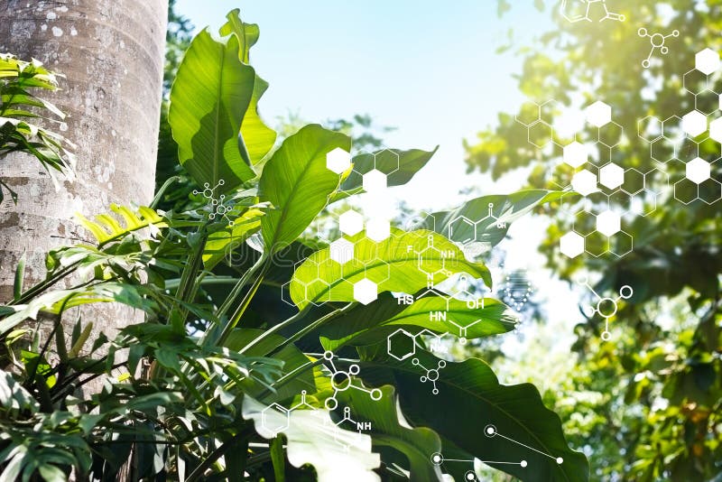 Biology Laboratory Nature and Science, Plants with Biochemistry ...