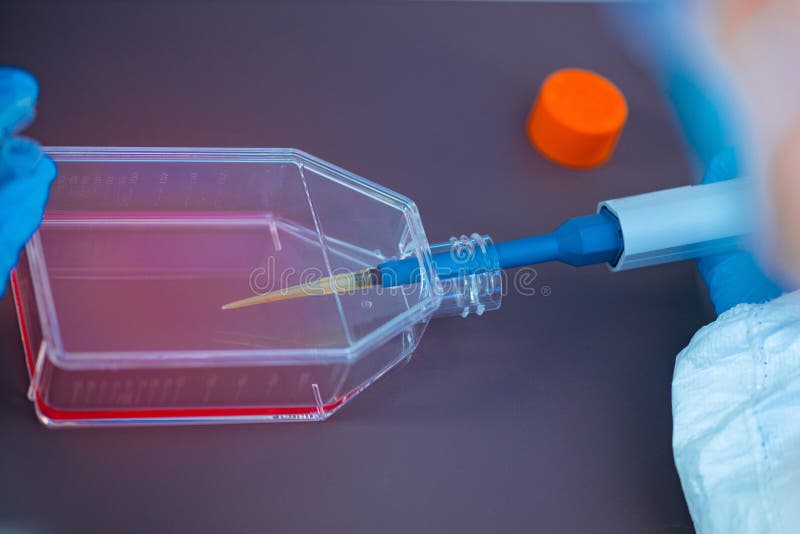 Biology Laboratory, Scientist Working with Cell Culture Stock Image ...