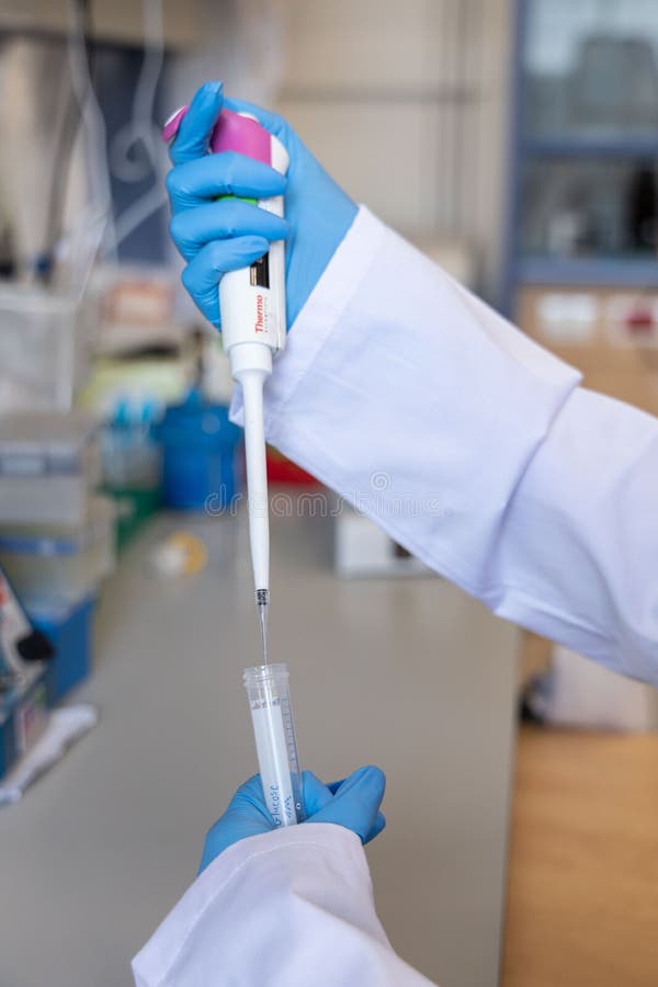 Biology Laboratory Taking a Sample on a Pipetor Stock Photo - Image of ...
