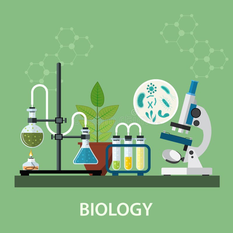 Biology Stock Illustrations – 847,210 Biology Stock Illustrations ...