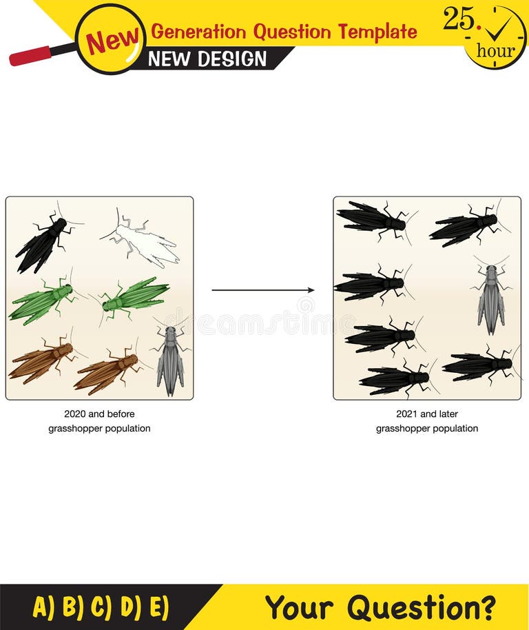 Asset Inheritance Stock Illustrations – 369 Asset Inheritance Stock ...