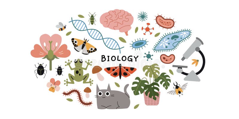 Biology Lesson at School, Science. Round Composition with Microscope ...