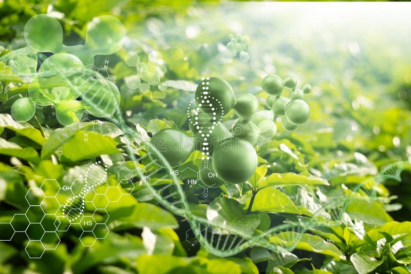 Biology Laboratory Nature and Science, Plants with Biochemistry ... Biology Laboratory Nature and Science, Plants with Biochemistry ...