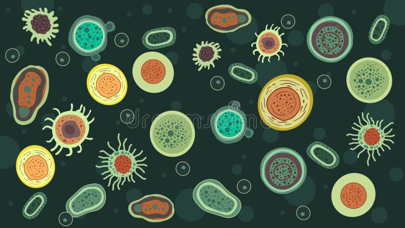 Animal Cell Anatomy, Biological Animal Cell with Organelles Cross ...
