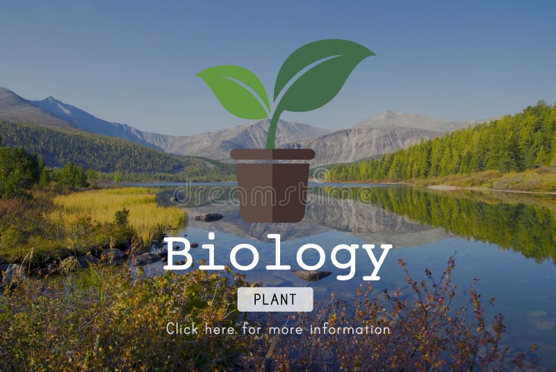 Biology Science Environmental Conservation Nature Concept Stock Photo ...