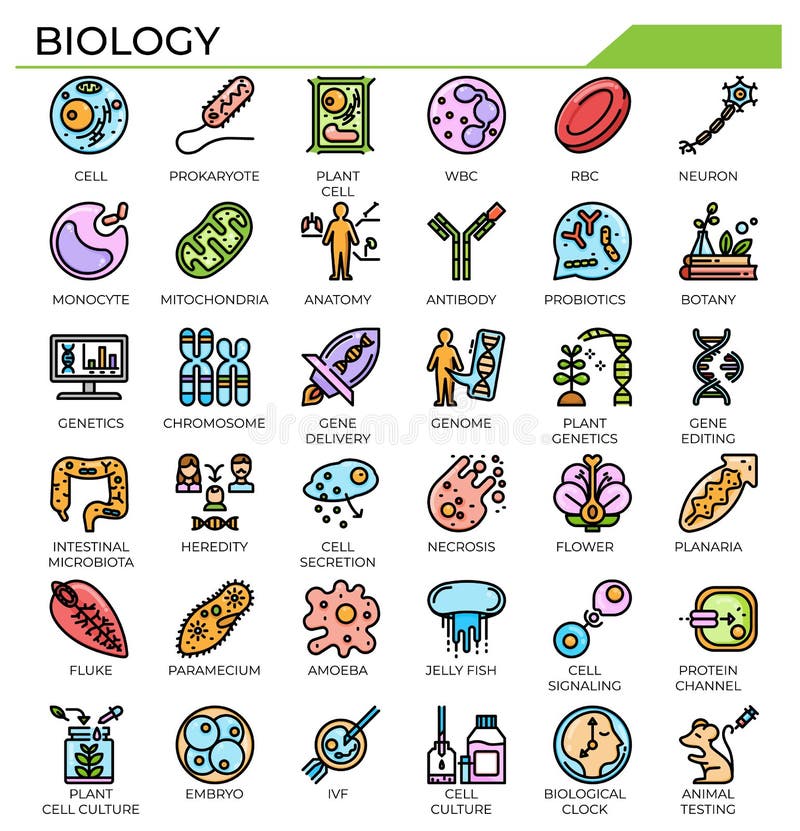 Biology and Science Icon Set Stock Vector - Illustration of planaria ...