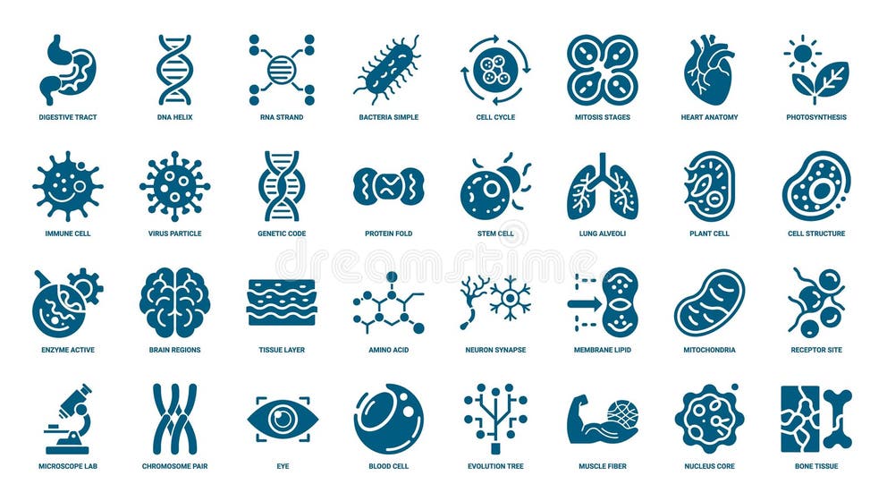 Biology Science Icons, Membrane Life Microscope Layer Stock Vector ...