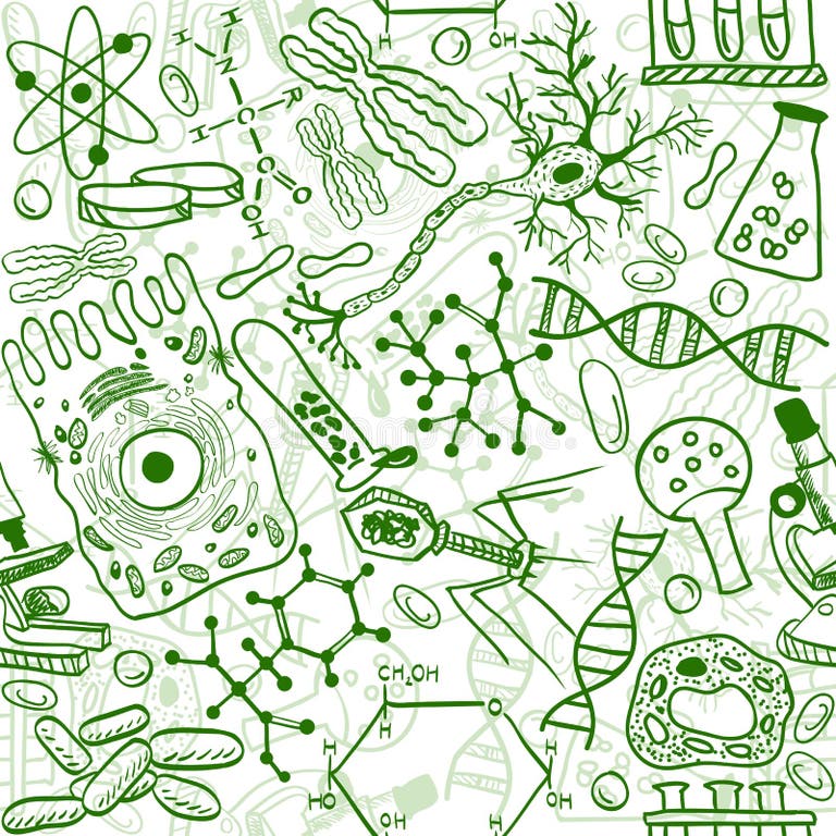 Biology Brasserie Stock Illustrations – 722,529 Biology Brasserie Stock ...