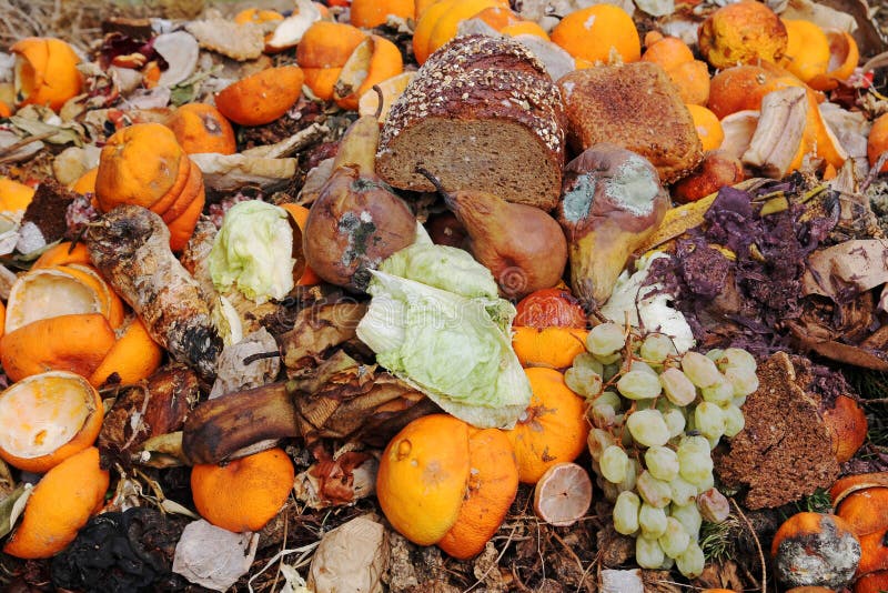 Biomüll stockfoto. Bild von biomüll - 30322692