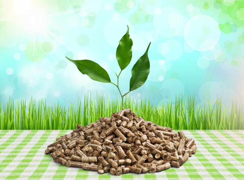 10,015 Biomass Energy Stock Photos - Free & Royalty-Free Stock Photos ...