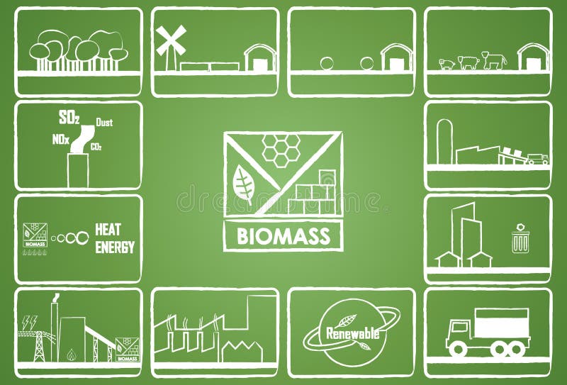 Biomass Energy. Education Infographic. Vector Design. Stock Vector ...