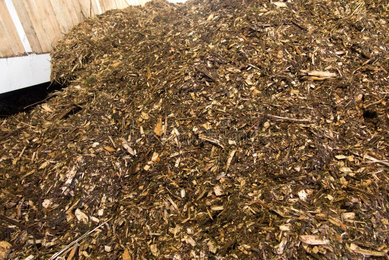 Biomass in the Form of Wood Chips with Impurities Lying on a Heap As ...