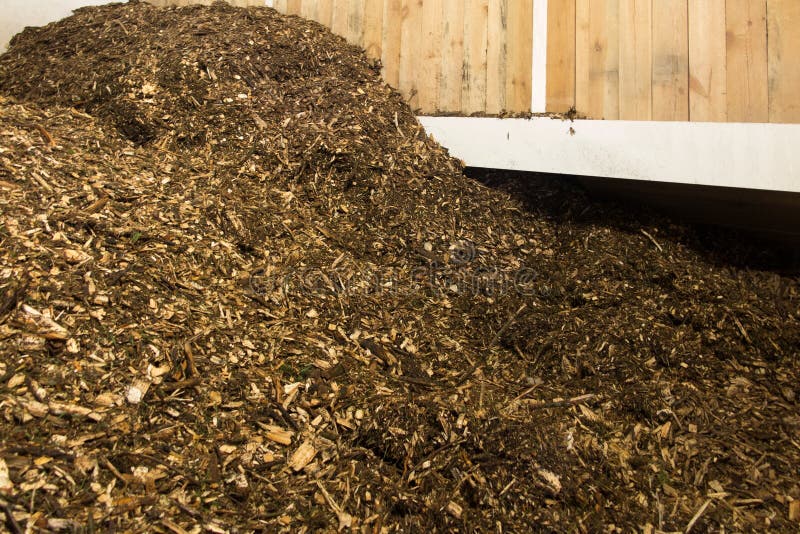 Biomass in the Form of Wood Chips with Impurities Lying on a Heap As ...