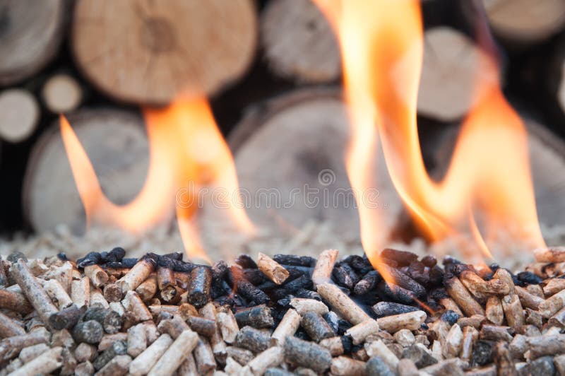 Burning Wood Chip Biomass Fuel a Renewable Alternative Source of Stock ...