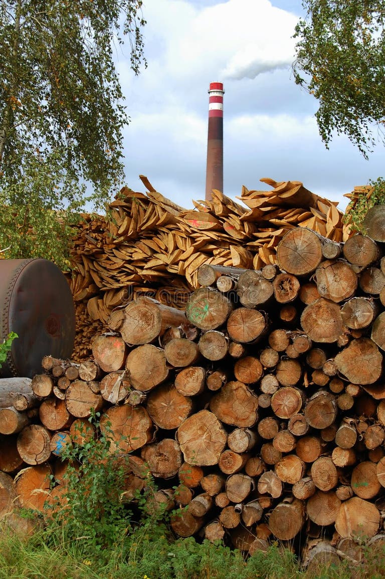 10,184 Biomass Background Stock Photos - Free & Royalty-Free Stock ...