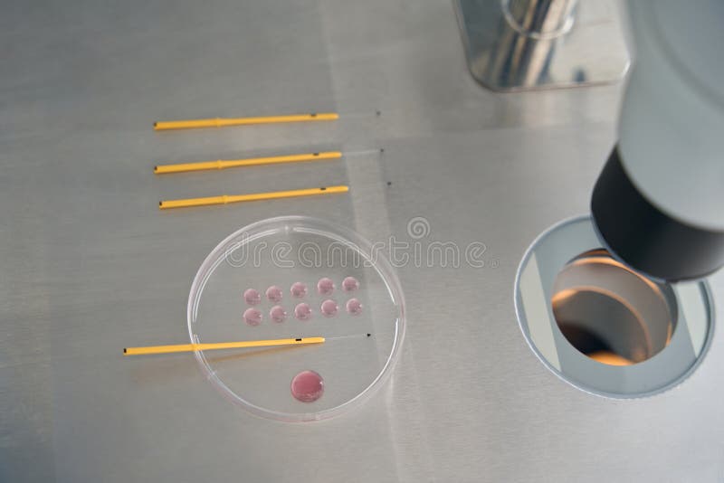 Biomaterial Prepared in the Genetic Laboratory for Manipulations Stock ...