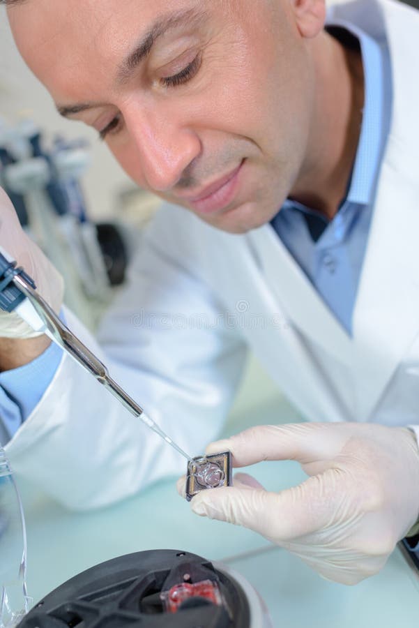 Biomedical Engineer at Work Stock Image - Image of aspect, engineer ...