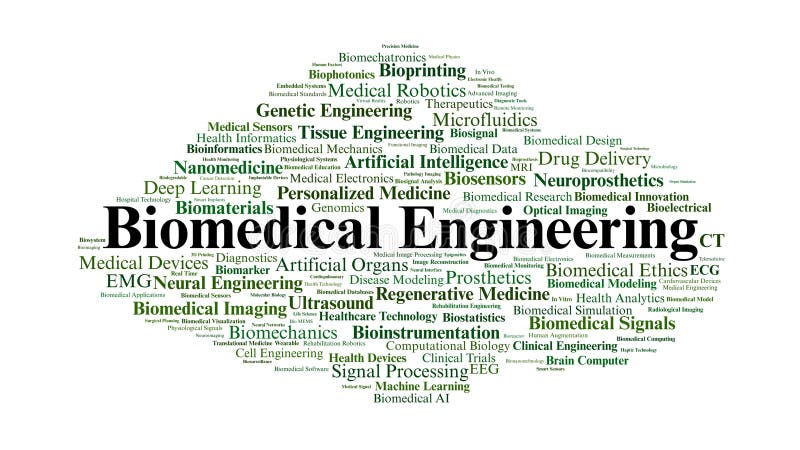 Biomedical Engineering Word Cloud. Key Academic Concepts in Technology ...