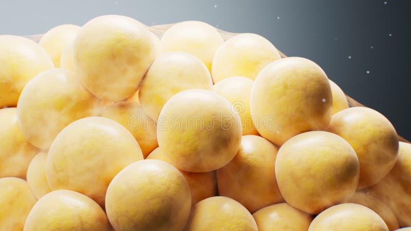 Biomedical Microscopic Fat Cells Structure, 3d Rendering Stock Video - Video of overweight ...