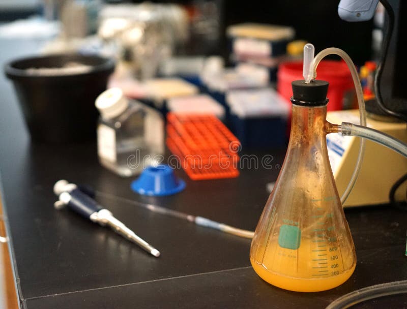Biomedical Research Bench Top Editorial Stock Image - Image of ...