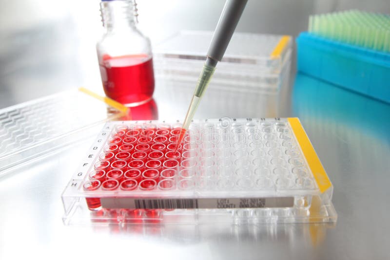 Medical Biotechnology Science Experiment Stock Image - Image of ...