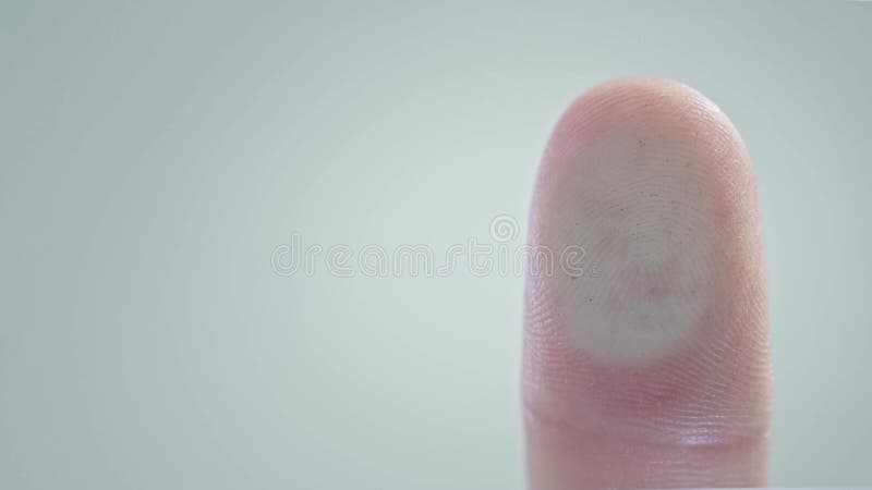 Biometric Fingerprint Security Scanner - Biometric Scanner Scanning a ...