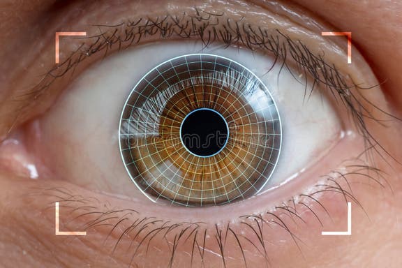 Biometrics, Eye Scanning and Recognition Concept. Stock Image - Image ...