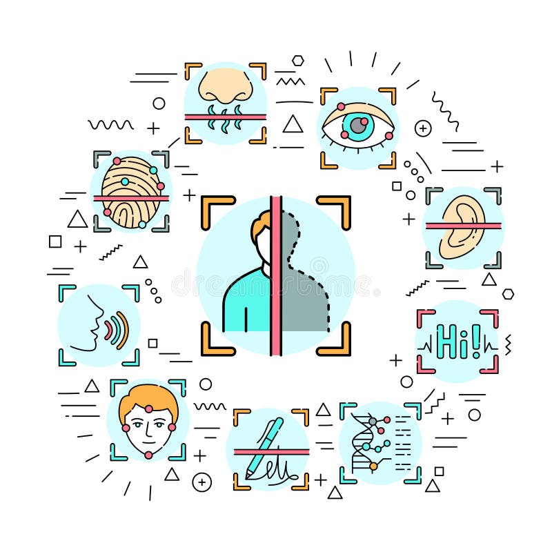 Biometrics Web Banner. Infographics with Linear Icons Stock ...