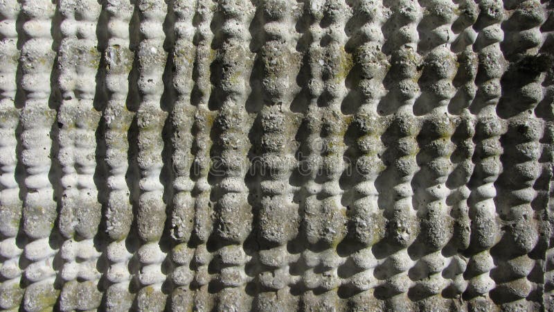 Biomorph Shapes, Structures and Patterns Stock Image - Image of ...