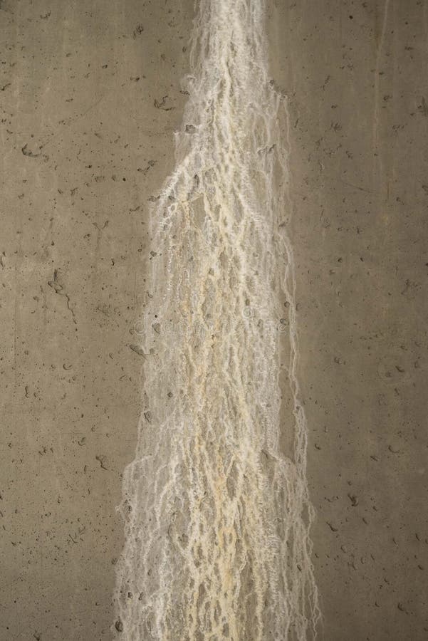 Biomorph Shapes, Structures and Patterns Stock Photo - Image of ...