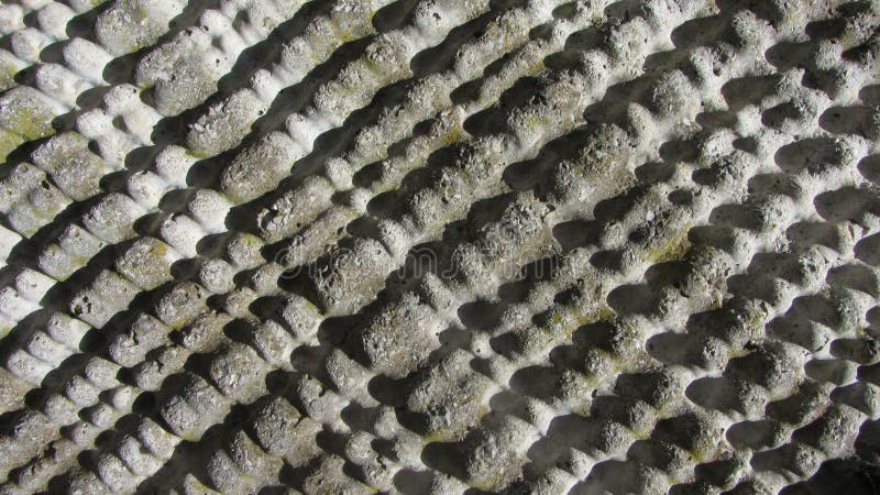 Biomorph Shapes, Structures and Patterns Stock Image - Image of ...