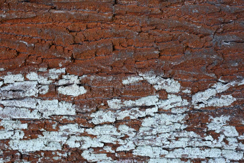 Biomorph Shapes, Structures and Patterns Stock Photo - Image of ...