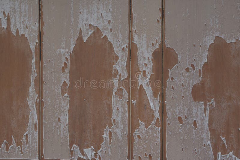 Biomorph Shapes, Structures and Patterns Stock Image - Image of ...