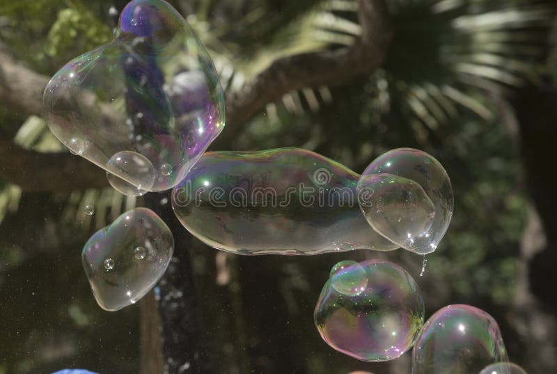 Biomorph Shapes, Structures and Patterns Stock Photo - Image of ...