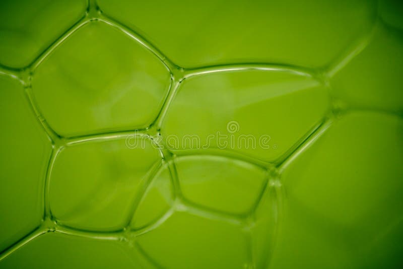 Bionic Green Abstract Background. Stock Photo - Image of background ...