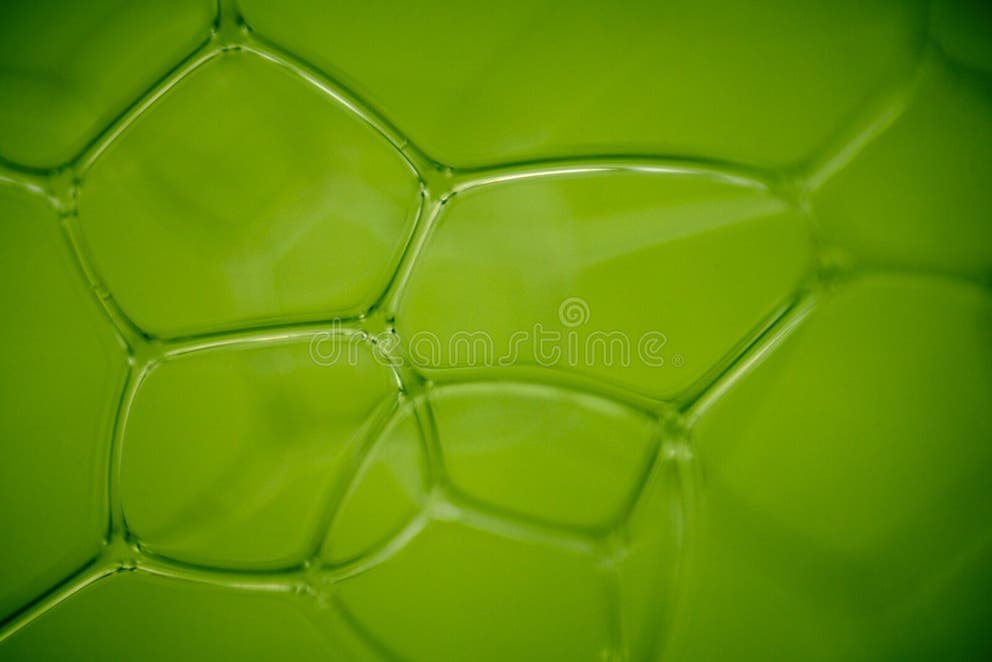 Bionic Green Abstract Background. Stock Photo - Image of background ...