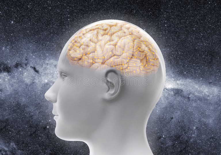 Bionic Human Head with Integrated Circuits and Mechanisms in the Brain ...