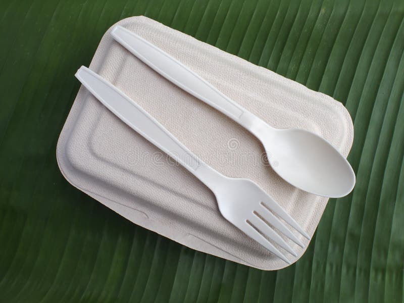 Bioplastic Spoon Fork and Disposable Lunch Box on Banana Leaf Stock ...