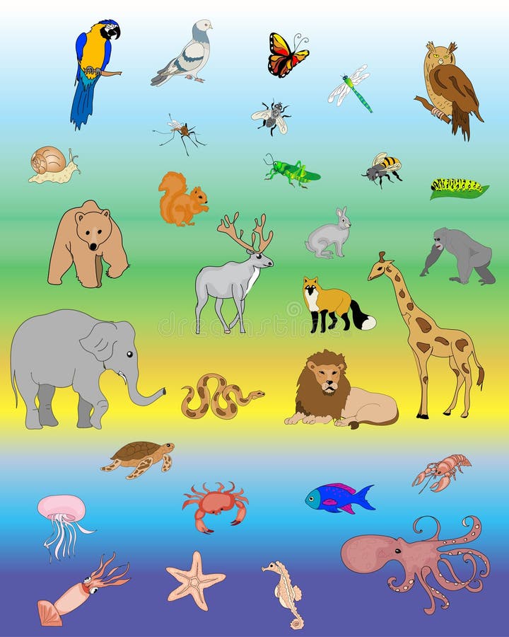 Biosfeer Stock Illustrations, Vectors, & Clipart – (1,327 Stock ...